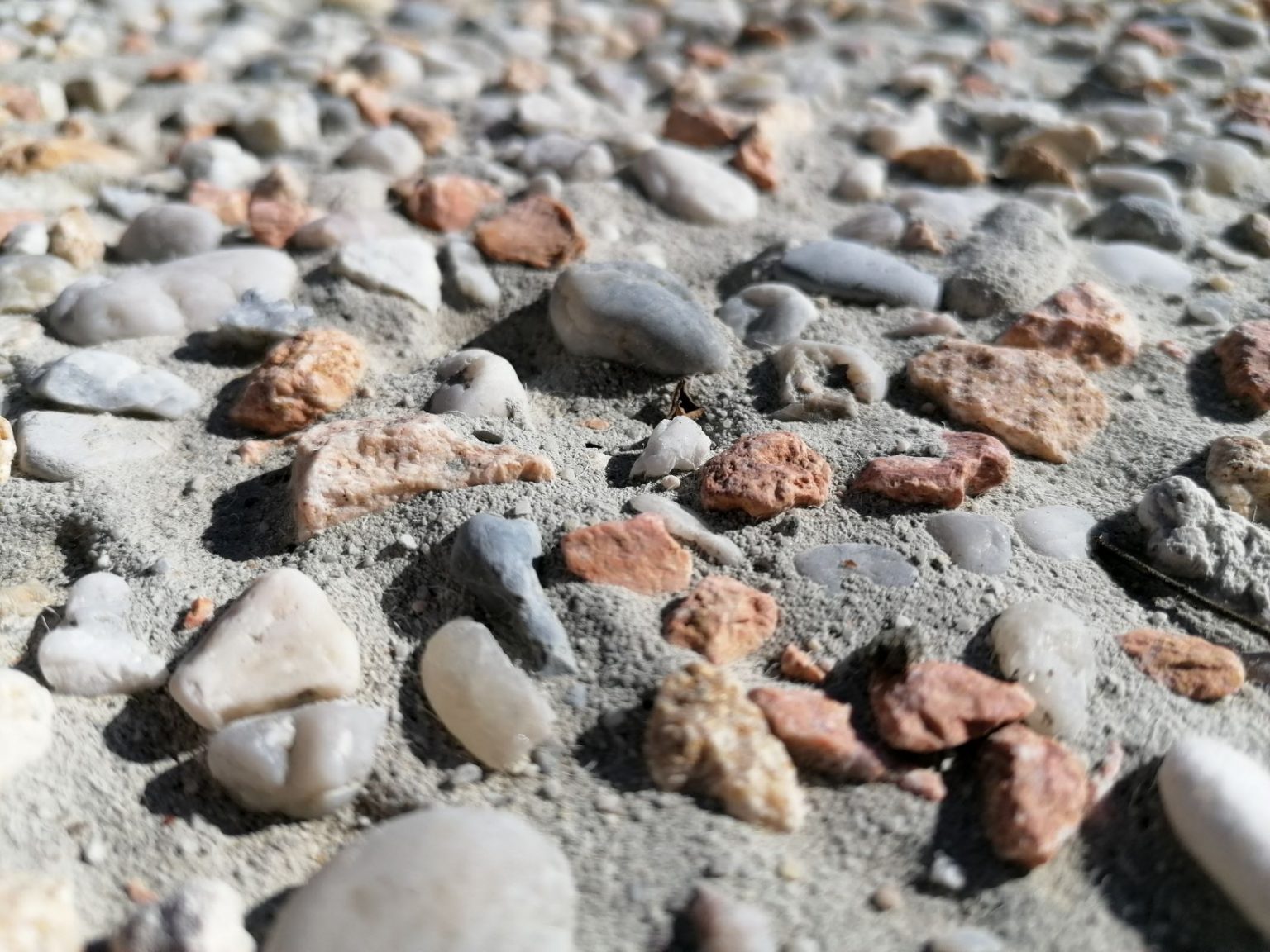 Catalogues - Groupe Daniel